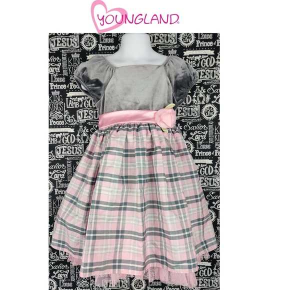 Youngland | Dresses | Youngland Dress Sz 4t | Poshmark